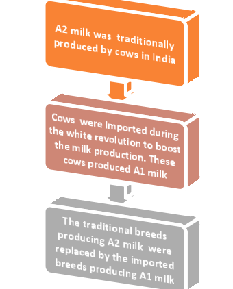 A2 Milk: Why you should know more about it? - Consumer Voice A2 Milk ...