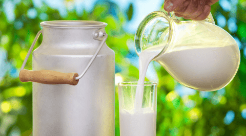 A2 Milk: Why you should know more about it? - Consumer Voice A2 Milk ...